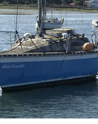 Trapper 300 – Cheap Boats